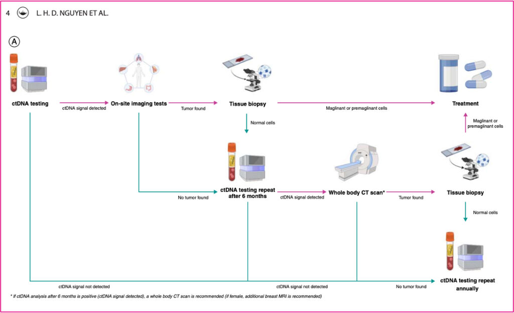 Effective Clinical Follow-Up for ctDNA Multi-Cancer Early Detection ...